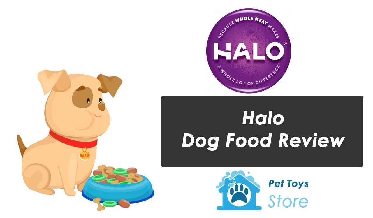 Halo Dog Food Review - Best Reviews 2026