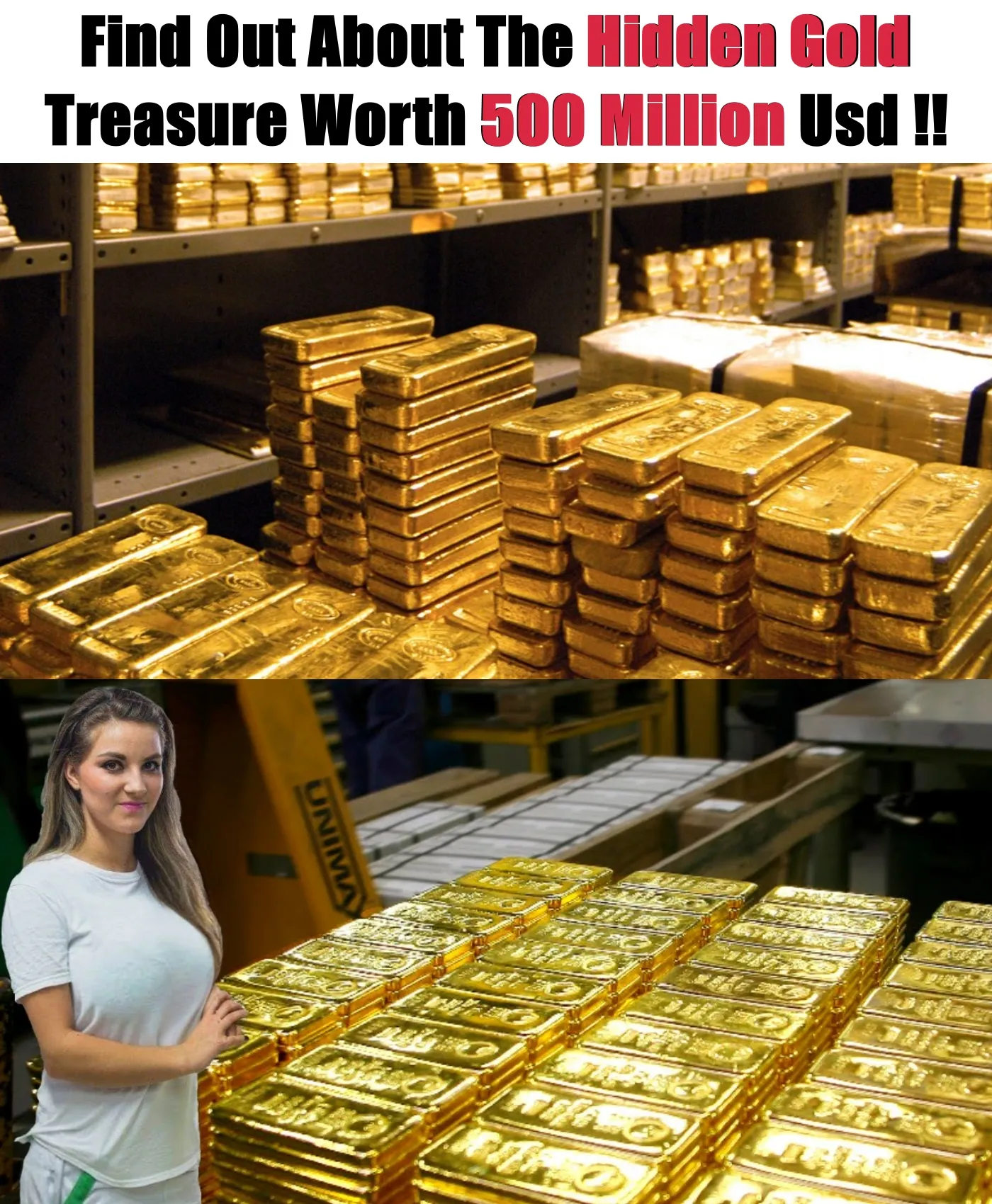 Decoding The Secret Of The Gold Treasure - Pet Toys Store